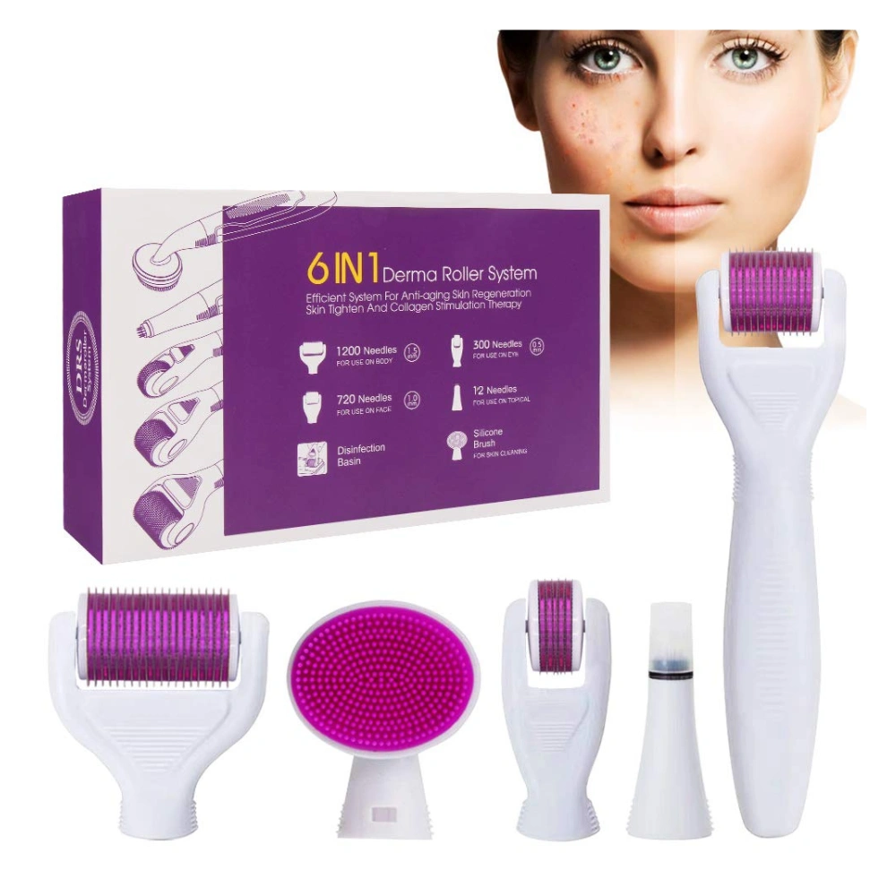 Derma Roller System 6 en 1 - La fleurette