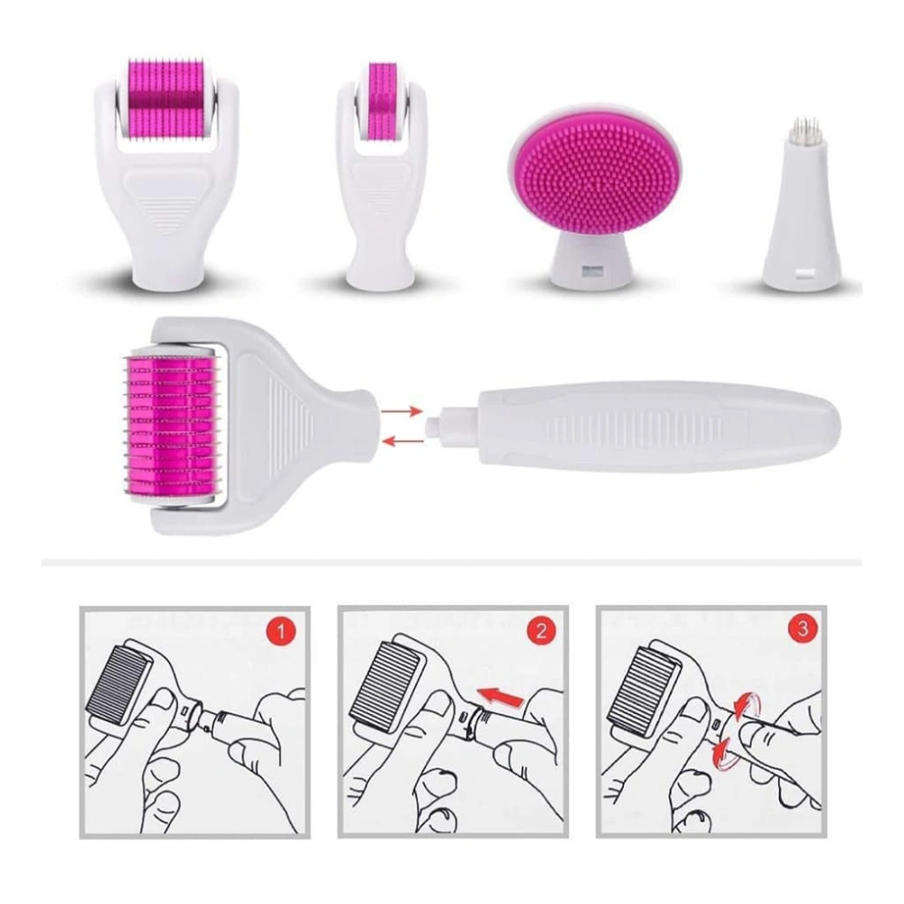 Derma Roller System 6 en 1 - La fleurette